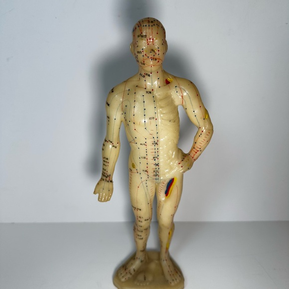 Other | Acupuncture Doll Shows Human Body Pressure Points And Meridians ...